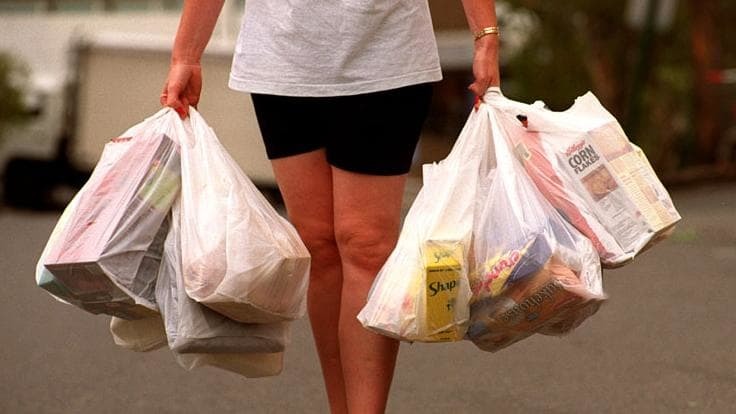 TPPF: Supreme Court Ruling on Bag Ban Affirms Cities are Not Above the ...
