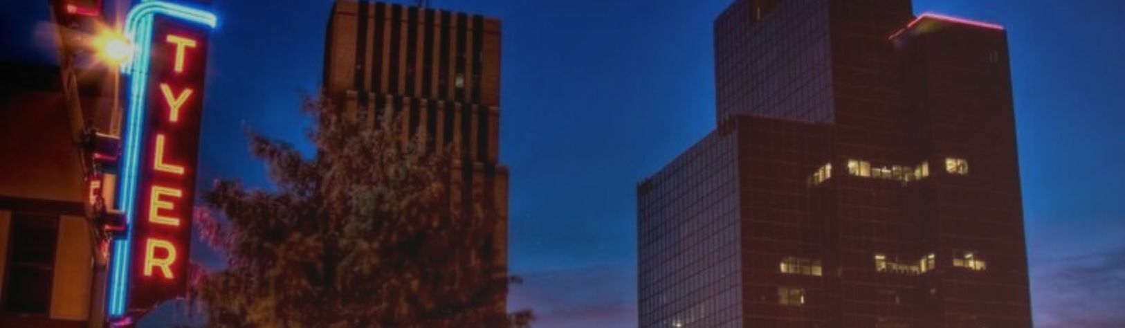 Tyler Liberty Leadership Council Launch Event - Texas Public Policy ...