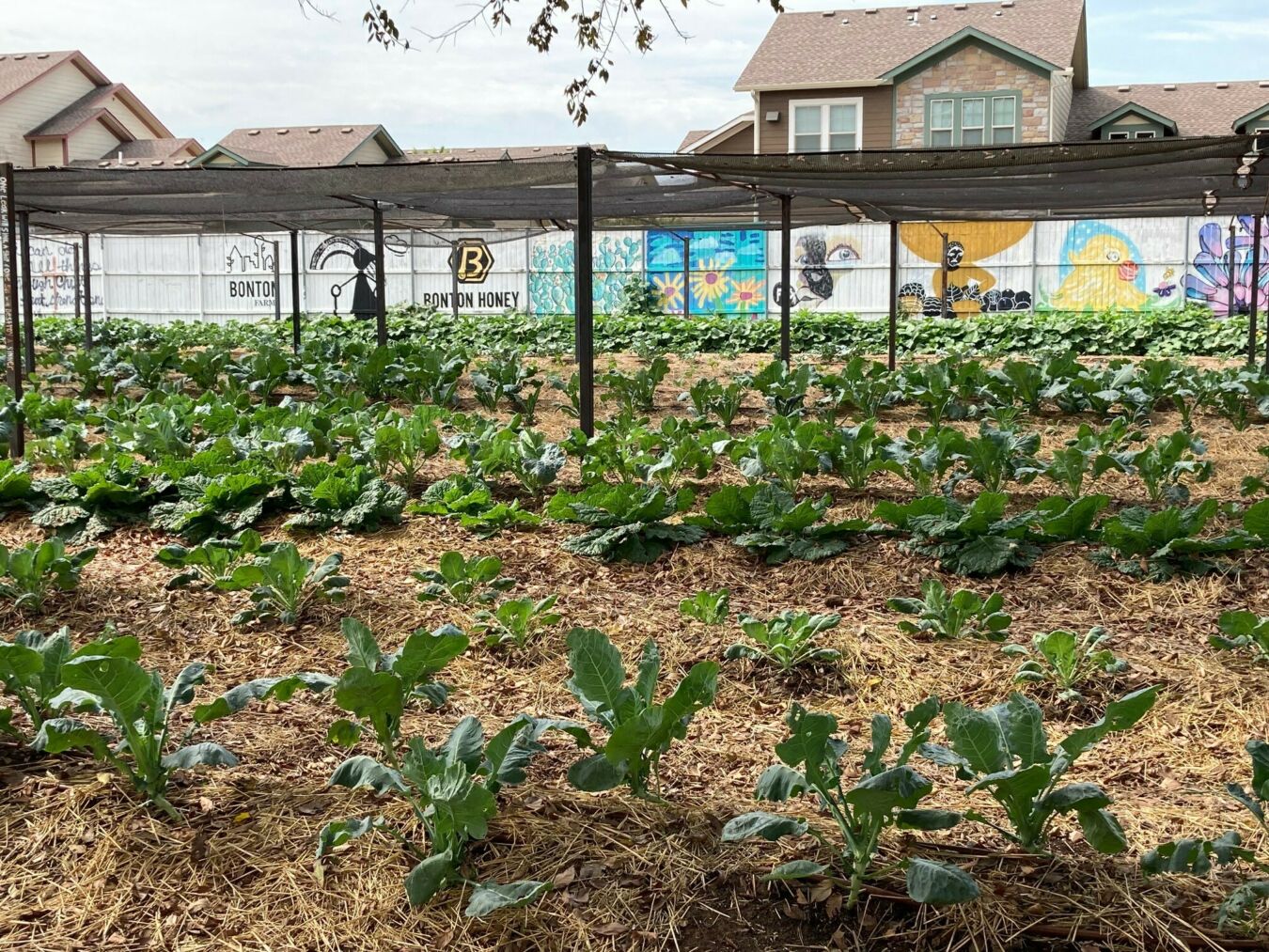 Finding Hope in a Once-Broken Community - Texas Public Policy Foundation