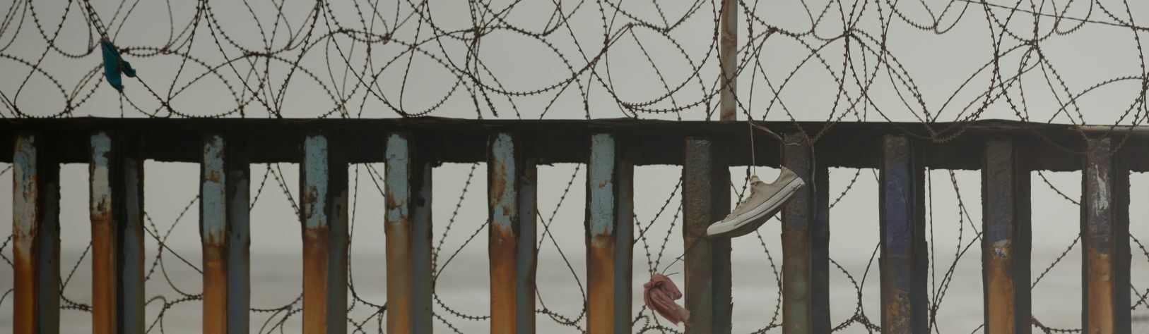 Defending the Homeland: How Texas Can Secure the Border - Texas Public ...