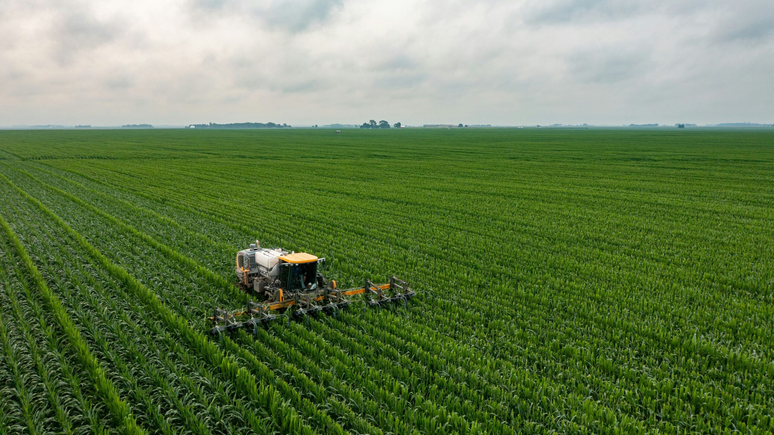 The mysterious poisoning of Texas farmlands and livestock - Texas ...